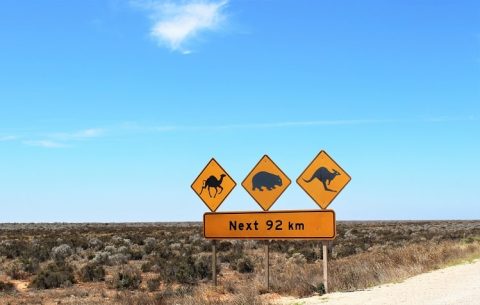 Perth to Adelaide Drive Itinerary: Epic South Coast Road Trip