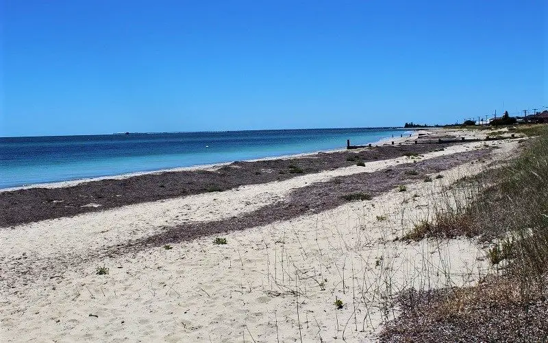 Best Things to Do in Busselton for a Fantastic Holiday - Dreaming of ...