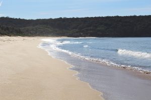 25 Best Beaches in NSW You Have to Visit - Dreaming of Down Under
