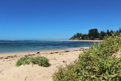 Top Things to Do at The Entrance, NSW - Dreaming of Down Under