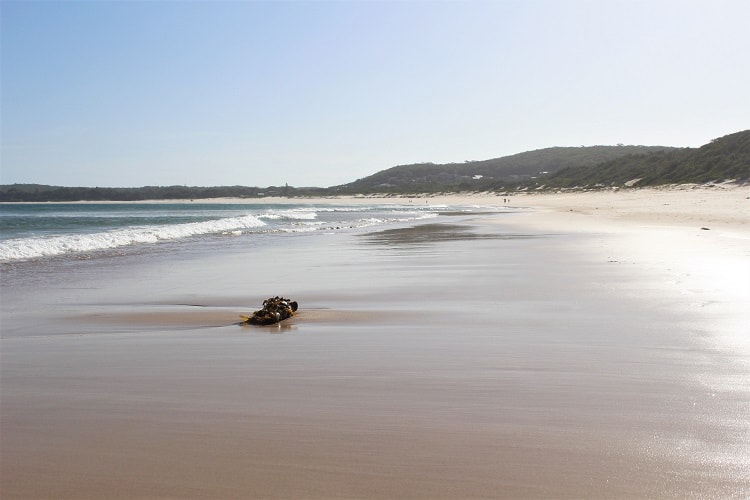 The BEST Port Stephens Attractions You Have to Visit in 2024